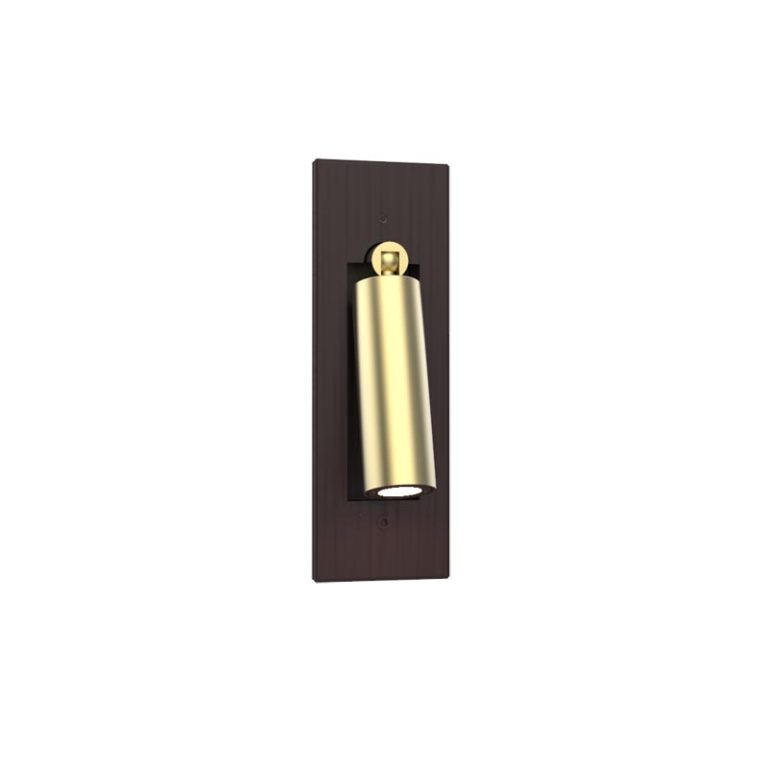 3W LED Satin Brass Reading Light with Brushed Bronze Backplate - R&S ...